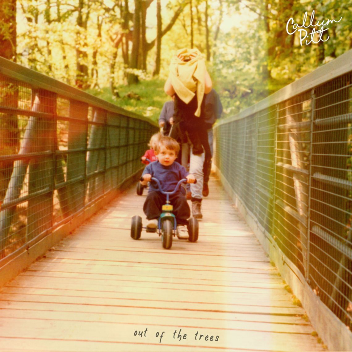 Callum Pitt – Out of the Trees